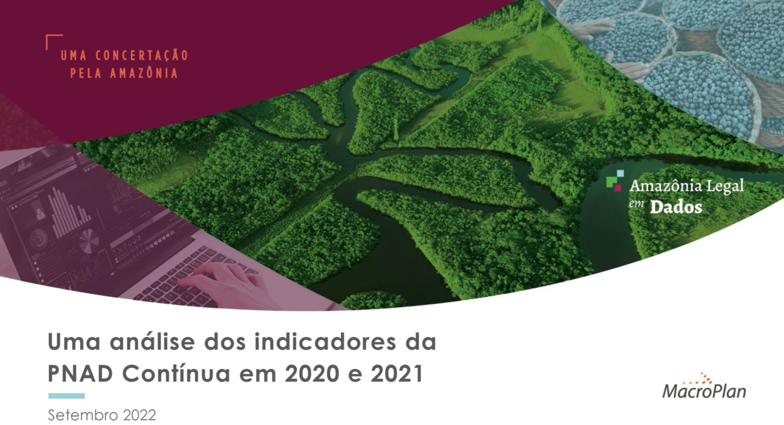 PNAD Contínua - Impactos da pandemia na Amazônia Legal - Uma ...
