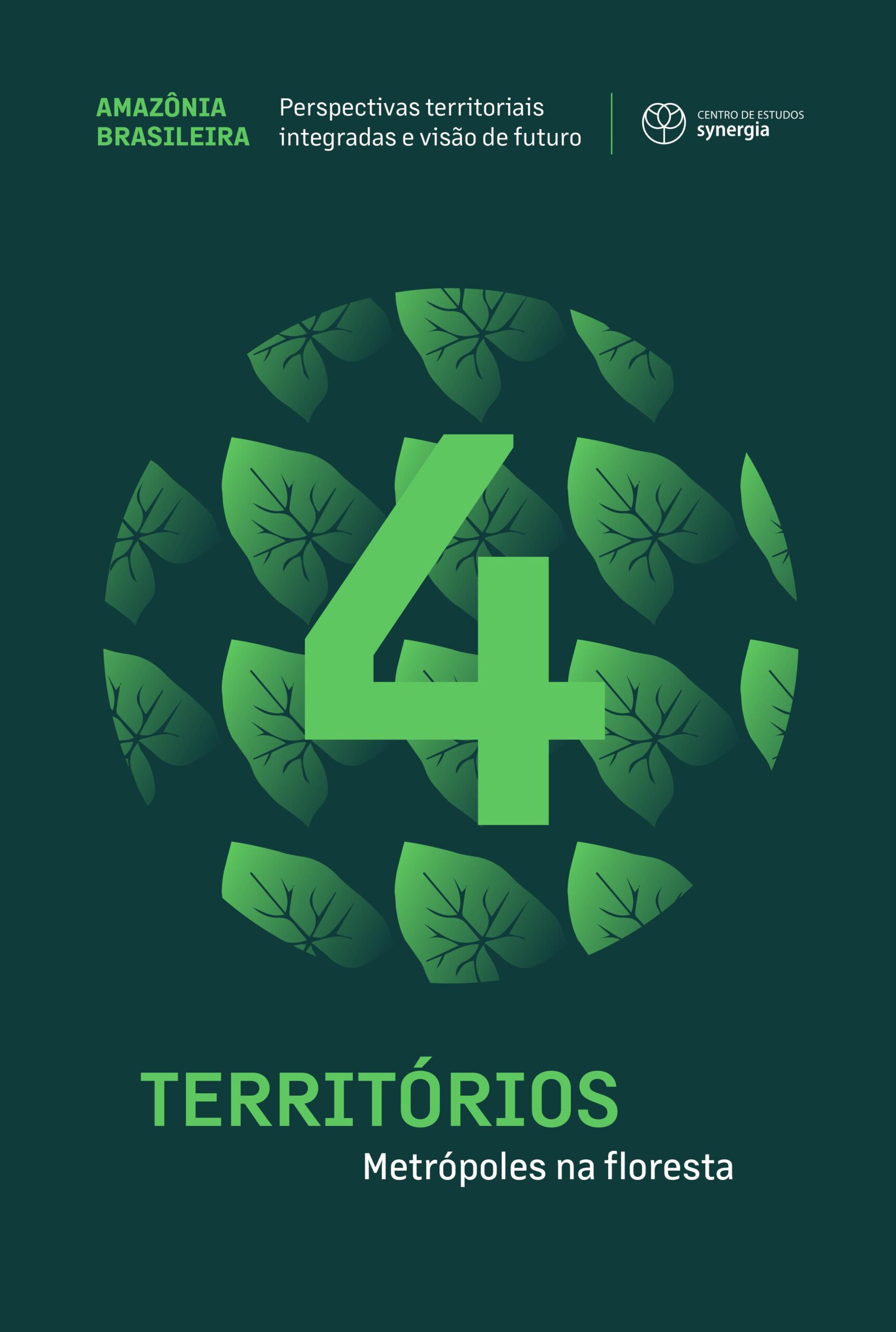 Série Amazônia Brasileira Vol. 4: Perspectivas territoriais integradas e visão de futuro - Uma ...