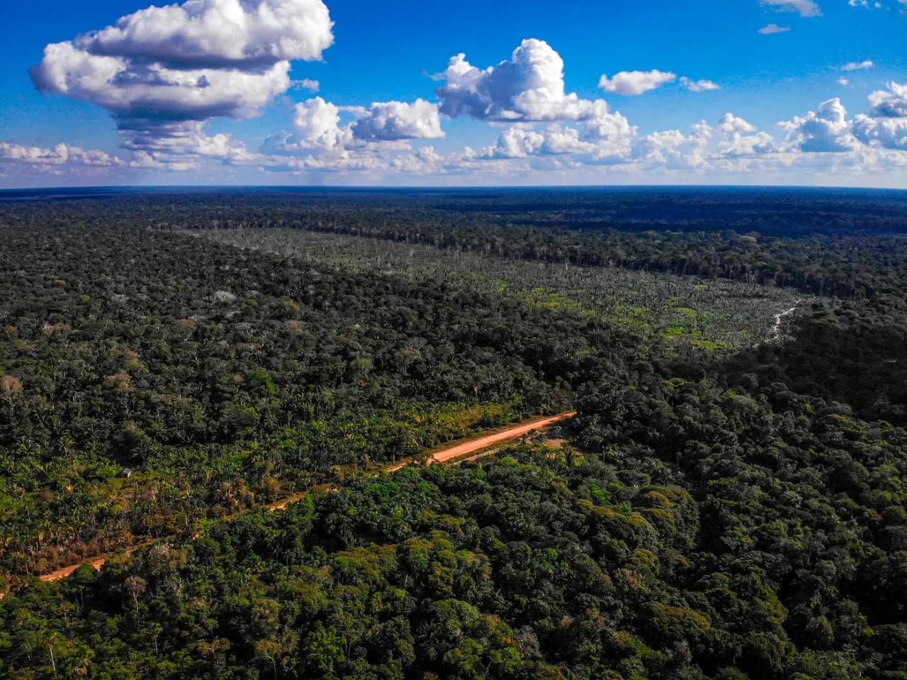 Depois de massacre, povo Juma luta para sobreviver em meio a invasões e ...